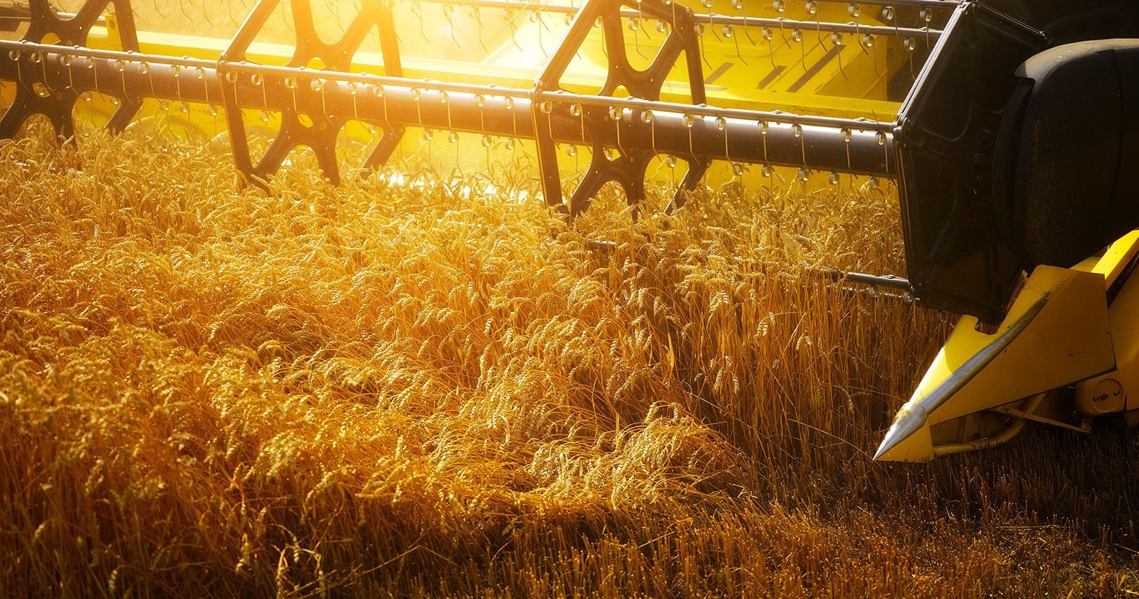 Primacy | Our Story | Dependable Crop Insurance